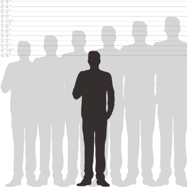 Convert 146 CM to Inches | Visual Length Comparison