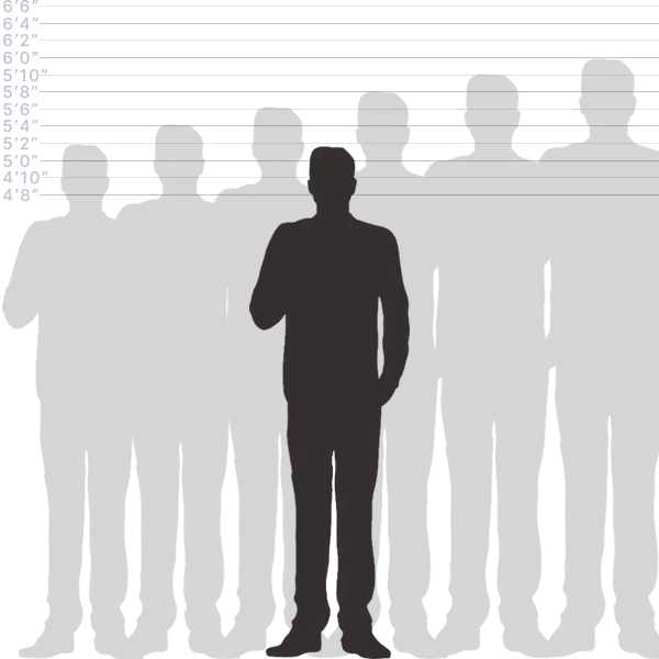 Convert 156 CM to Inches | Visual Length Comparison