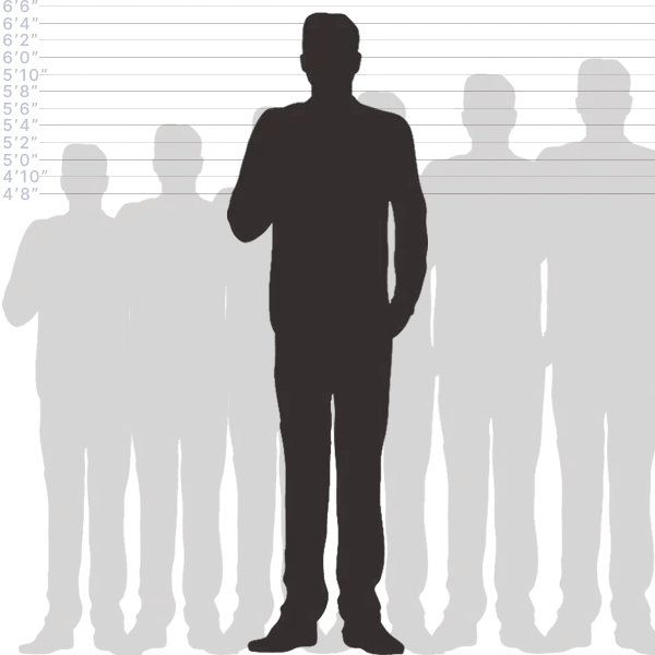 Convert 197 CM to Inches | Visual Length Comparison